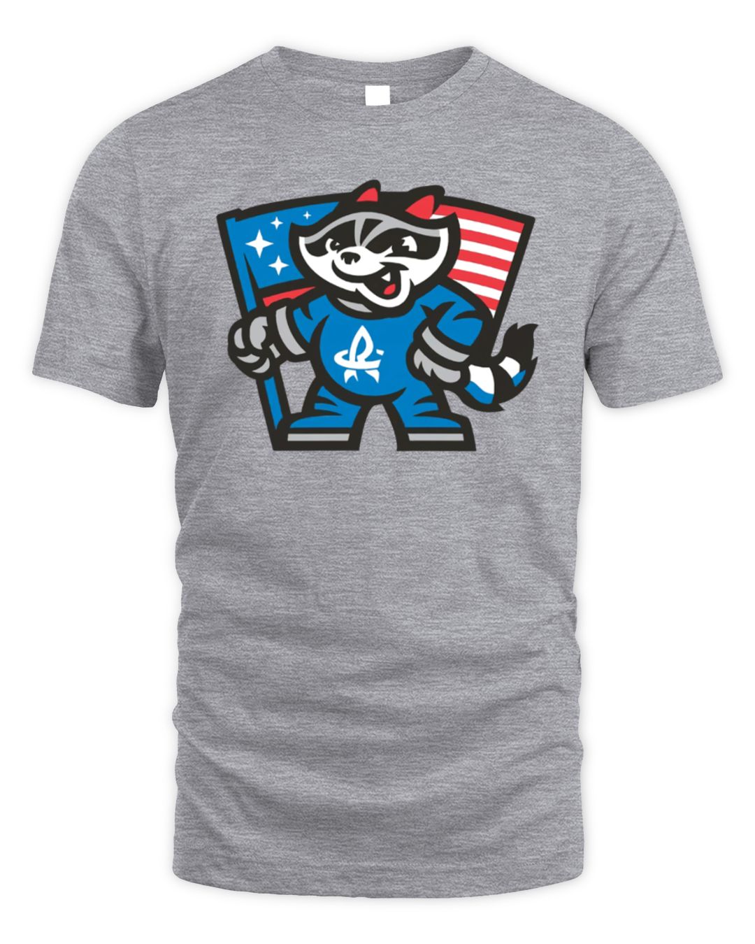 2024 Rocket City Trash Pandas Flag Logo Hoodie