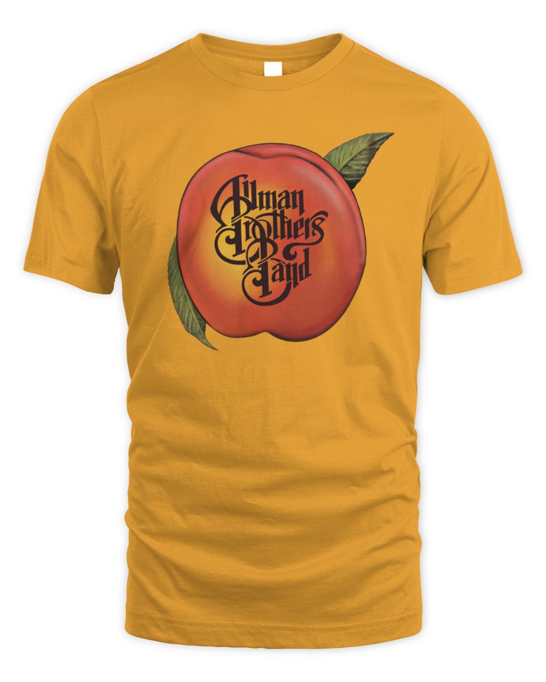 The Allman Brothers Band Section 119 Unisex Logo