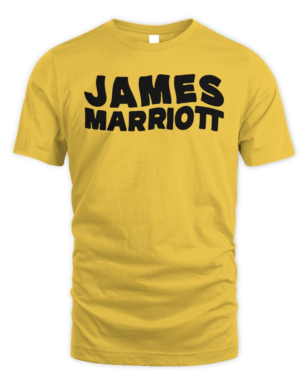 James Marriott Merch 2024 Tour Logo Tee Shirt