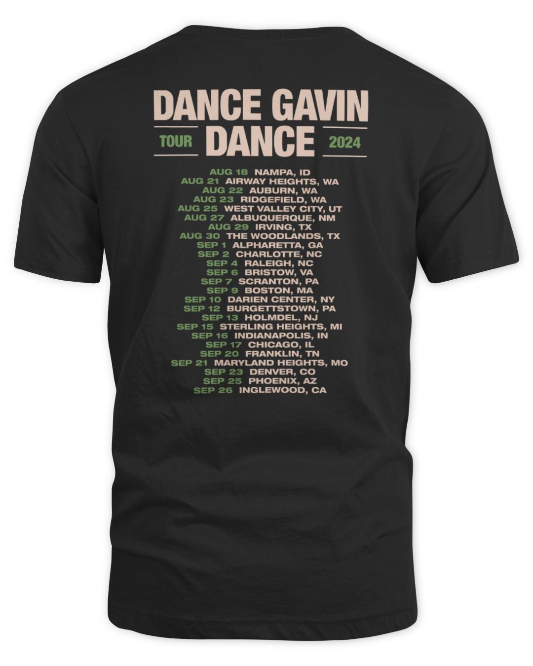 Dance Gavin Dance Merch Strawberry Blossom Tour Black T-Shirt | Ahoged